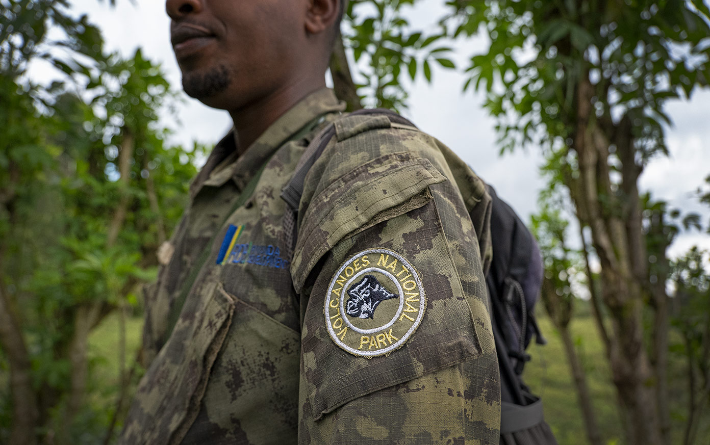 Rwanda | Award Winning Wildlife Photographer | Matthew Maran